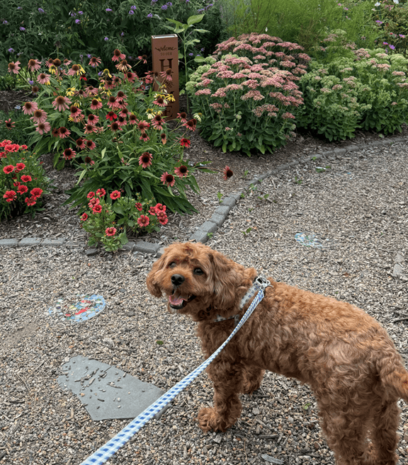 A Day in the Life: Molly Dube – PLUS